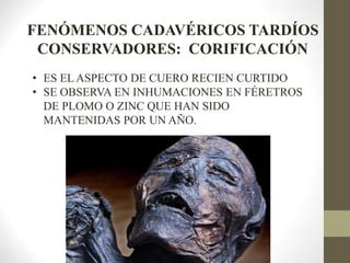 FENOMENOS_CADAVERICOS.ppt