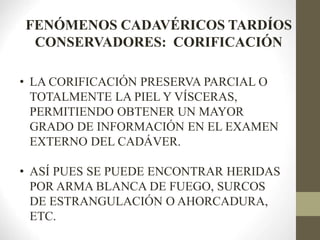 FENOMENOS_CADAVERICOS.ppt