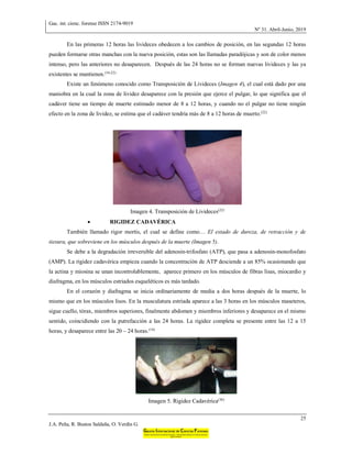 Características de los fenómenos cadavéricos | PDF