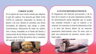 Fenomenos cadavericos adriana garrido | PPTX