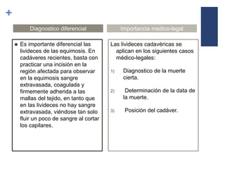 Fenómenos cadavéricos | PPTX