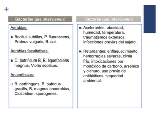 Fenómenos cadavéricos | PPTX
