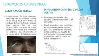 FENOMENOS CADÁVÉRICOS Y EL TANATOCRONODIAGNÓSTICO.pptx