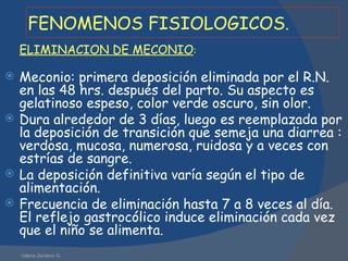 Fenomenos fisiologicos del recien nacido | PPT
