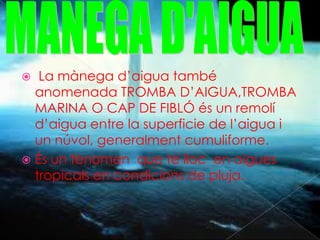 Fenomens definitiu | PPSX