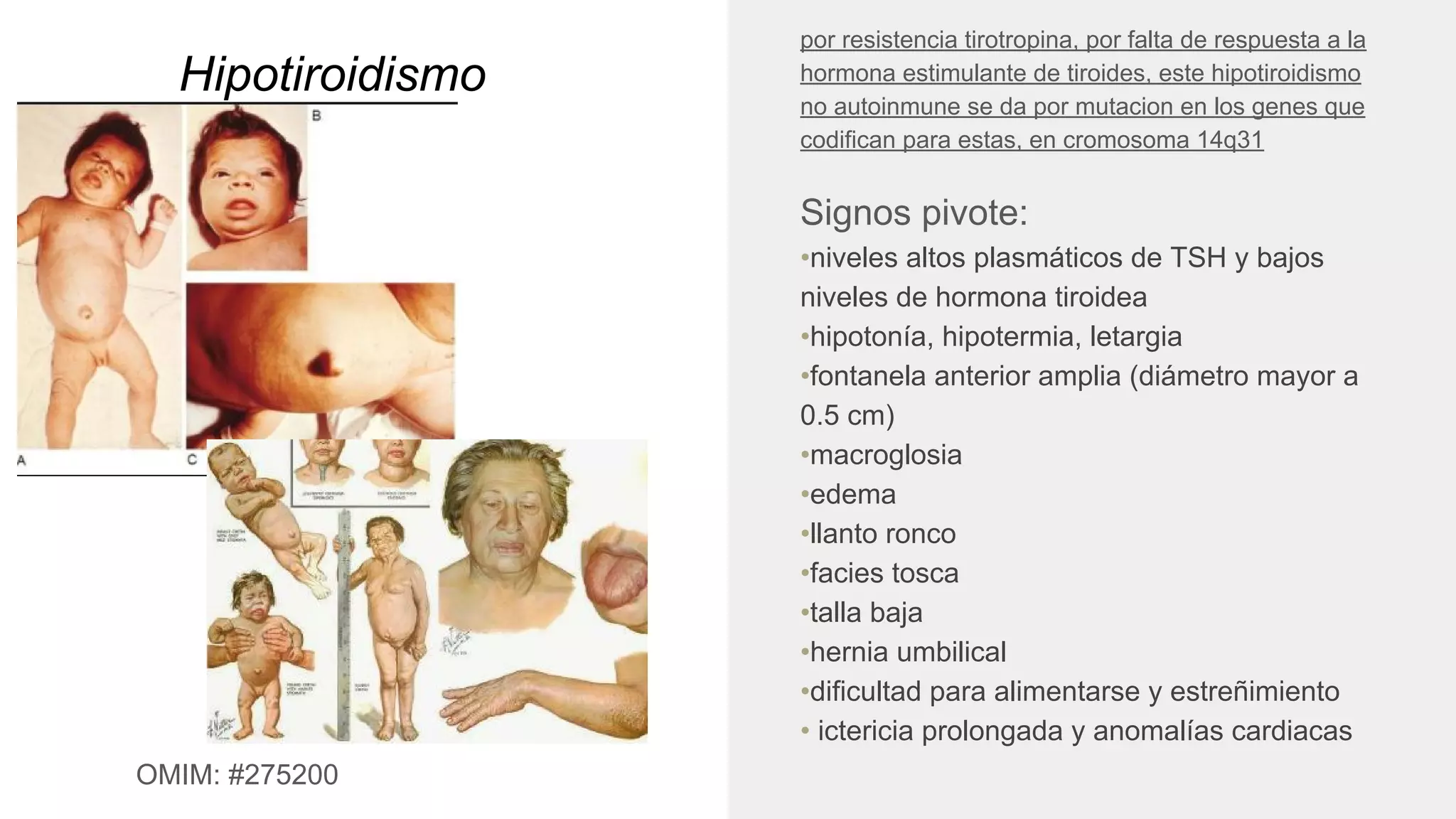Fenotipos modulo 10 | PPT
