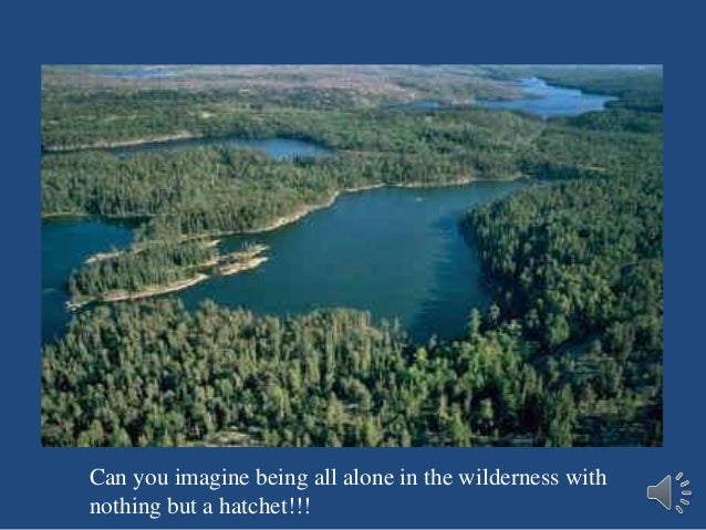 Canadian Wilderness Hatchet