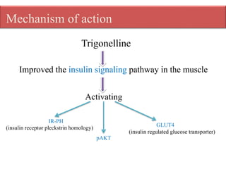 Active constituent of Trigonella foenum gracum as Antidibetic | PPTX