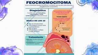 Feocromocitoma.pdf