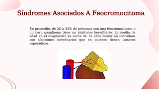 FEOCROMOCITOMA..pptxUn feocromocitoma es un tumor poco común que se ...