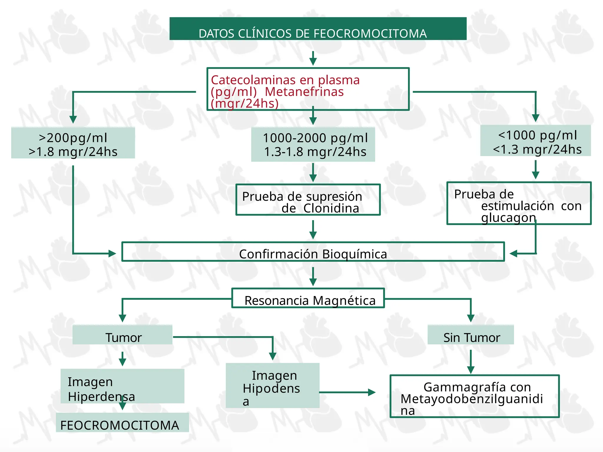 FEOCROMOCITOMA MAPA.CARACTERISTICAS IMPORTANTES | PPTX