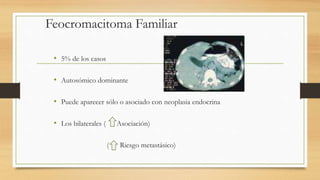 FEOCROMOCITOMA | PPTX