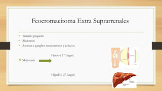 FEOCROMOCITOMA | PPTX