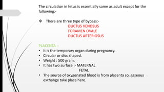 feotal circualtion 10 ppt.pptx