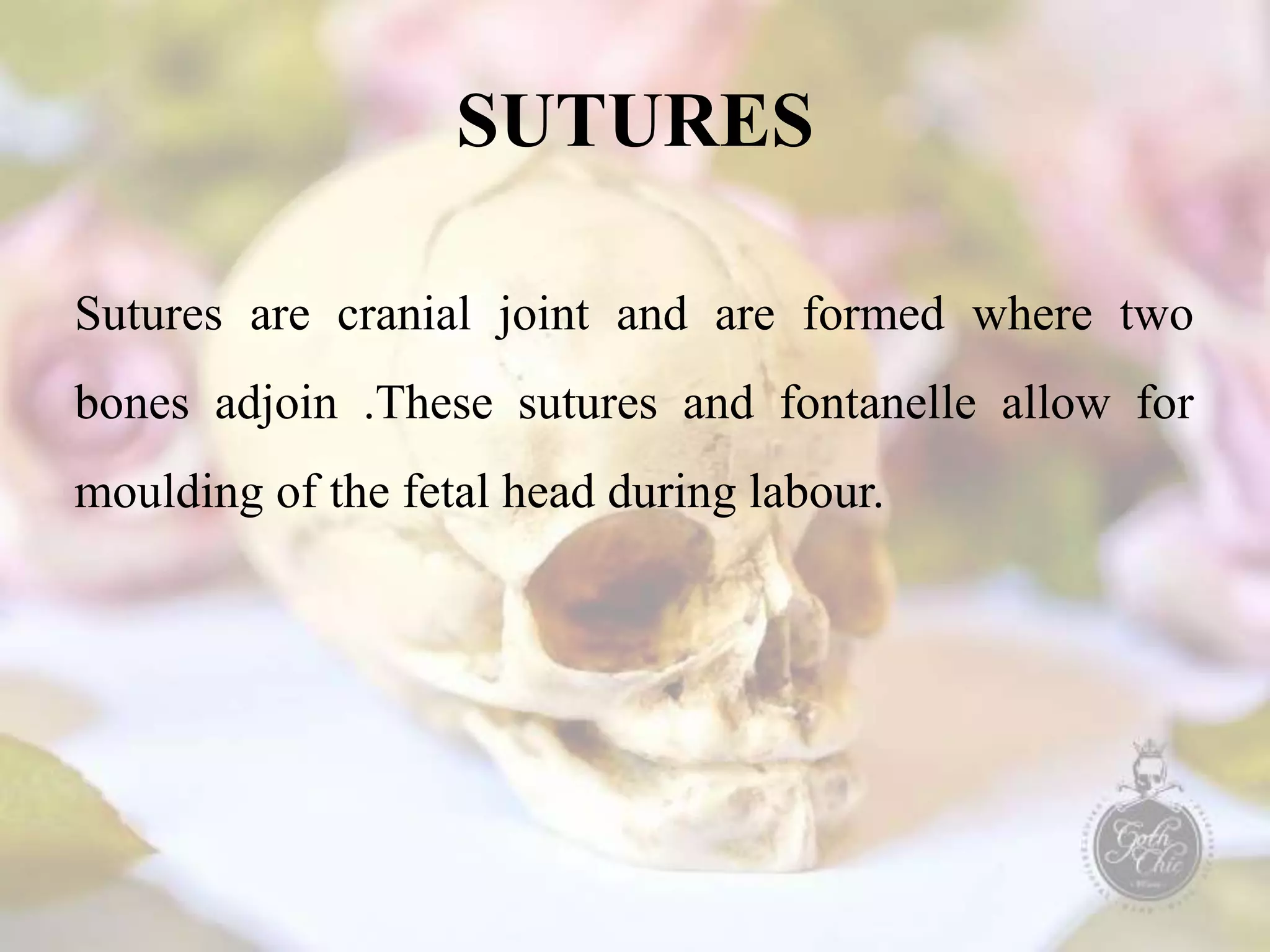 Feotal skull presentation | PPTX