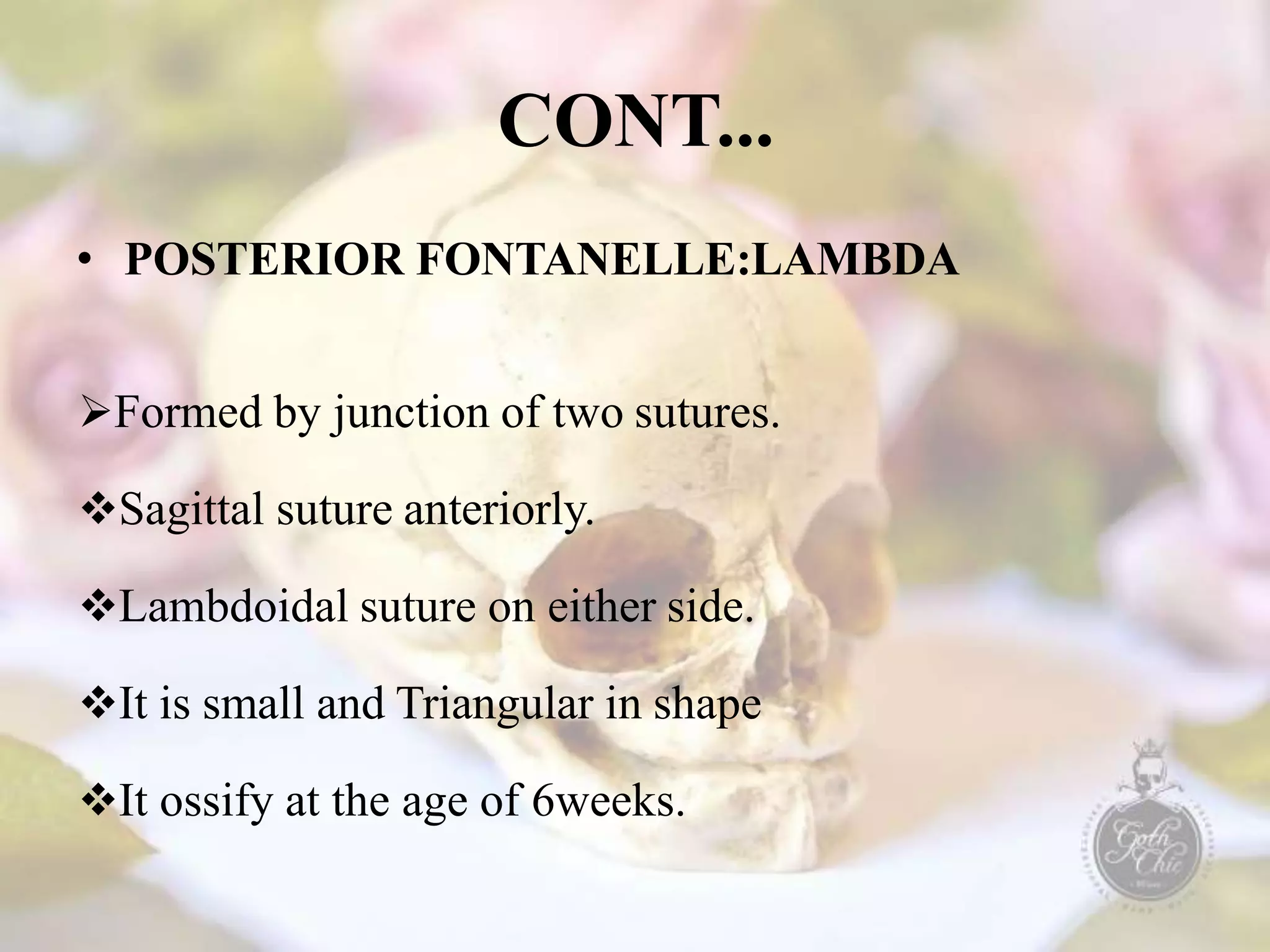 Feotal skull presentation | PPTX