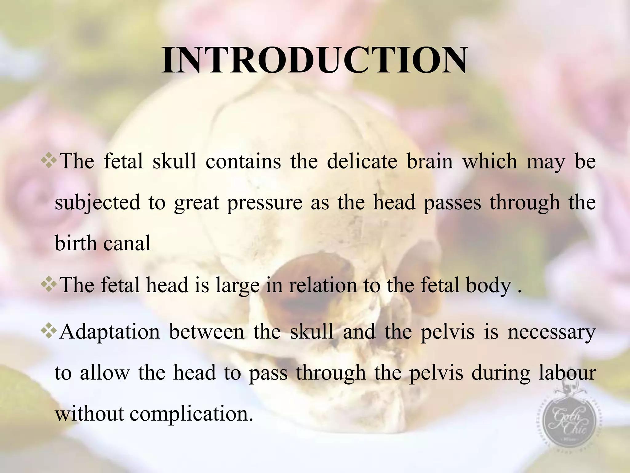 Feotal skull presentation | PPTX