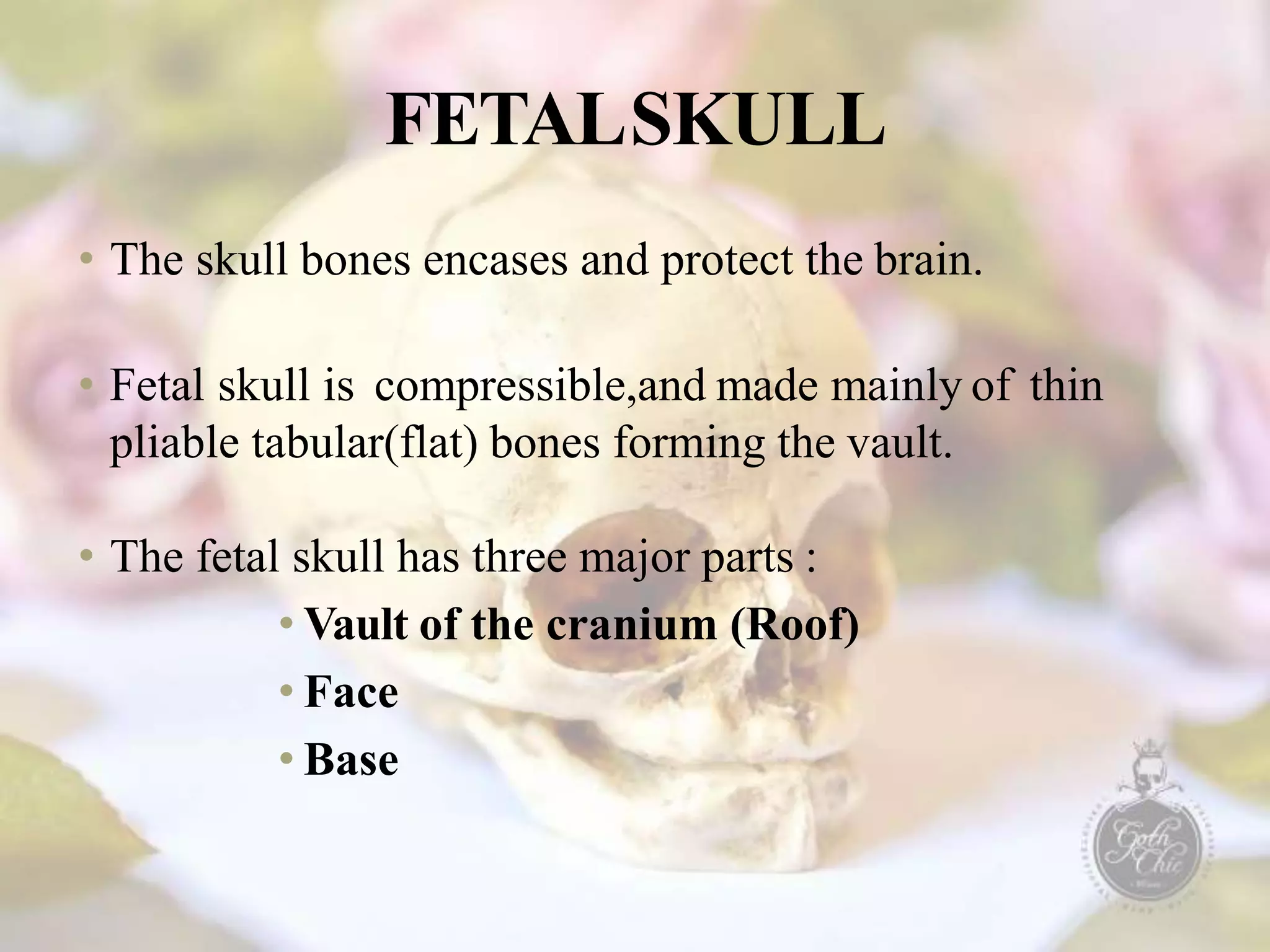 Feotal skull presentation | PPTX