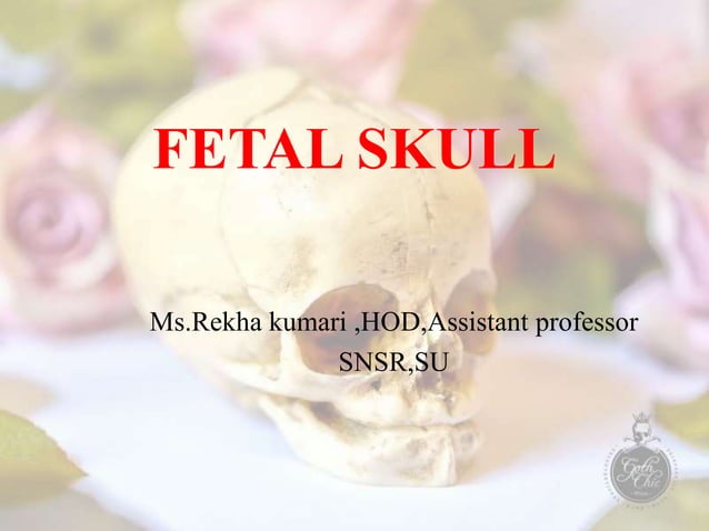 Feotal skull presentation | PPTX