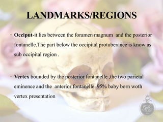 Feotal skull presentation | PPTX