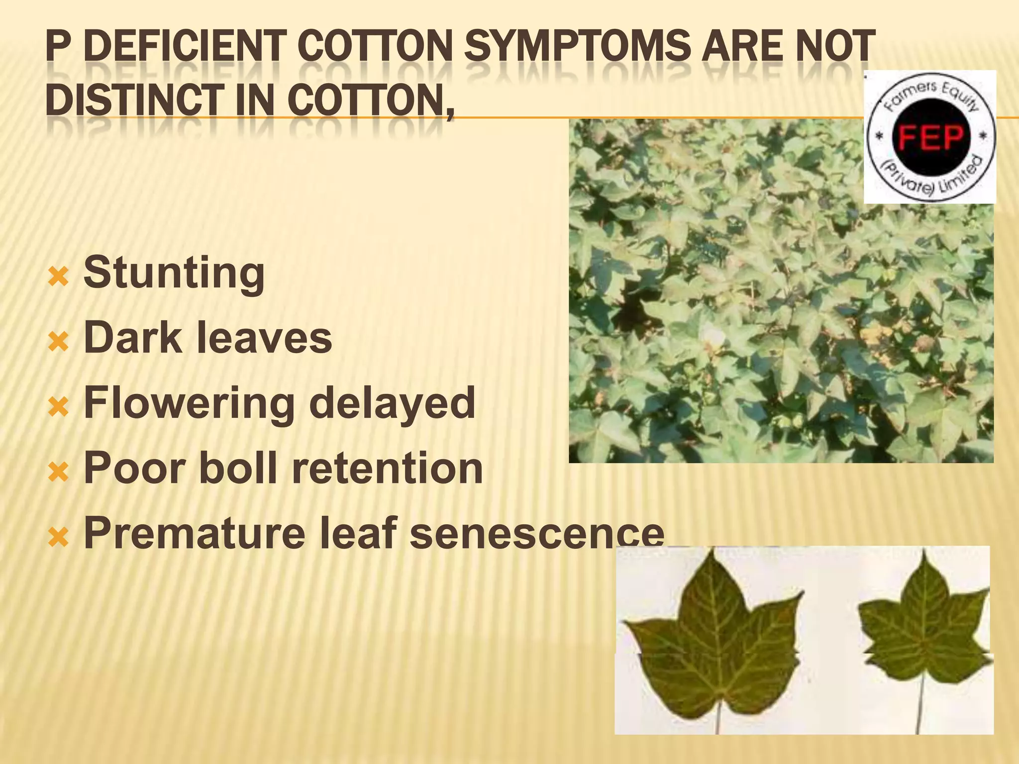 Foliar Fertlizers and Nutrient Diagnosis in Cotton Crop | PPTX