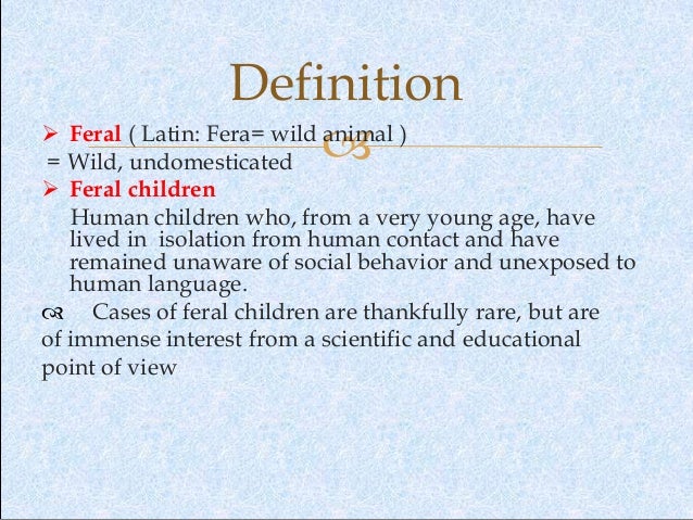 Undomesticated Definition