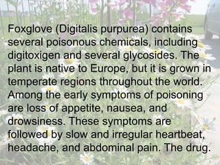 Ferdows ahmed | PPTX