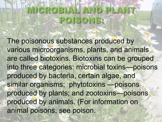 Ferdows ahmed | PPTX