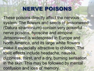 Ferdows ahmed | PPTX