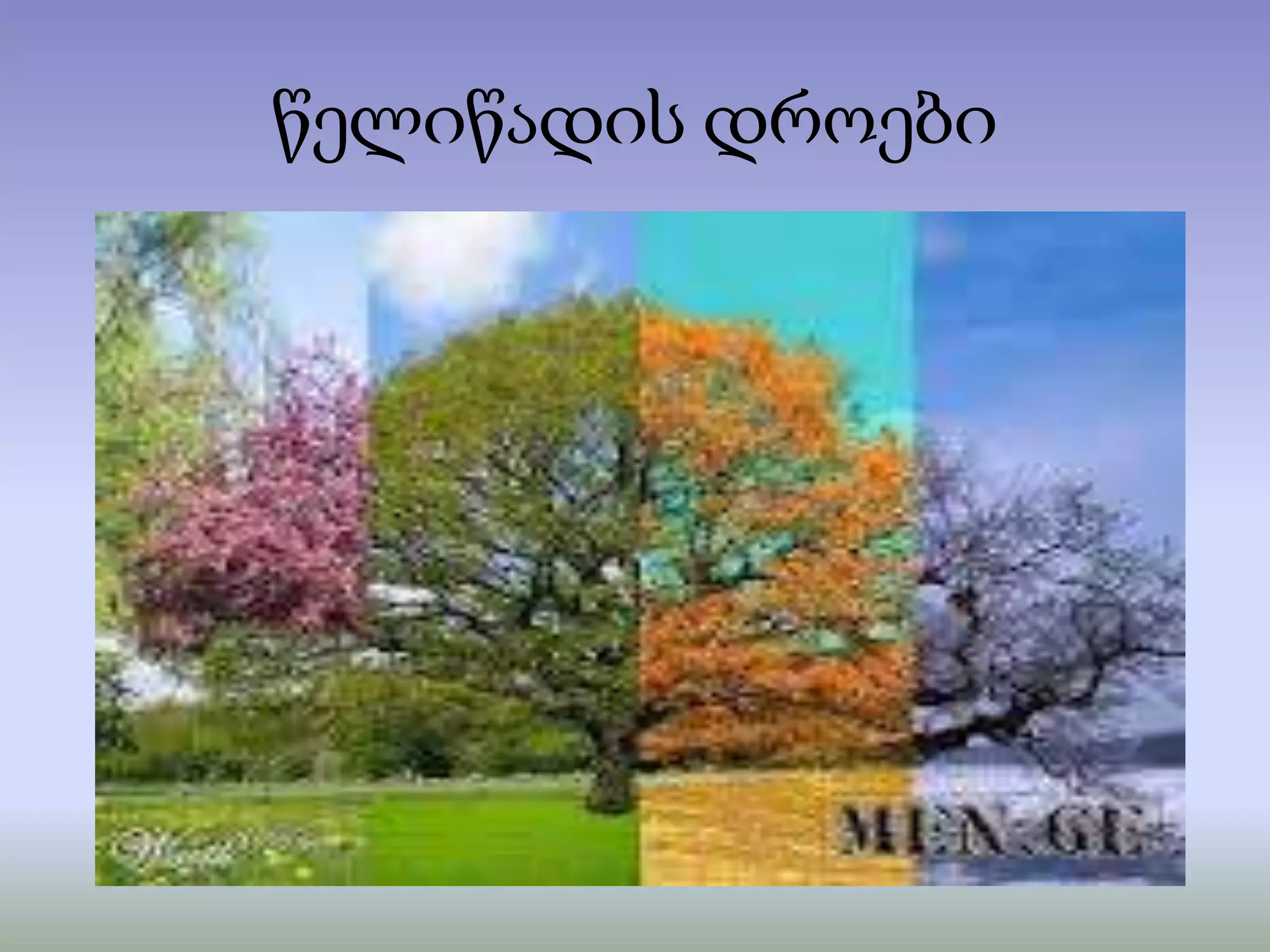 Ferebi | PPT