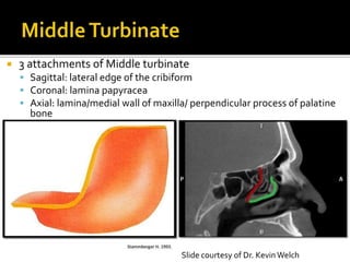 Sinus Anatomy Lectures: Western Residents Advanced Endsocopic Sinus ...