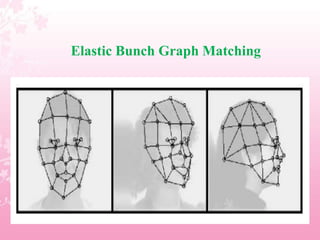 face recognition system | PPT