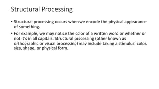Fergus Craik(Level of processing theory) | PPTX