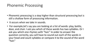 Fergus Craik(Level of processing theory) | PPTX