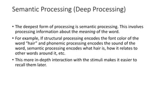 Fergus Craik(Level of processing theory) | PPTX