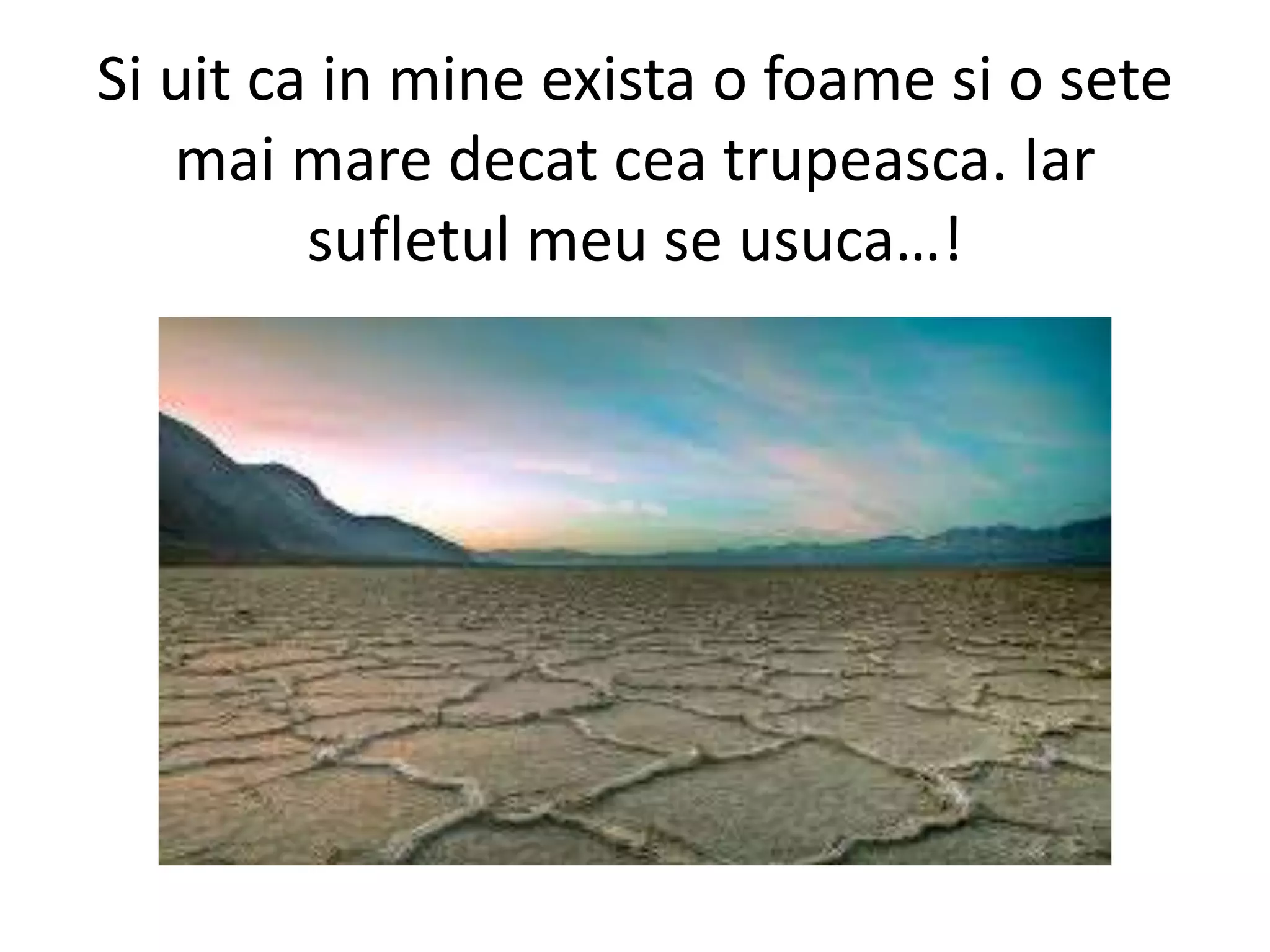 Ferice-de-cei-flamanzi-si-insetati-dupa-dreptate.pptx