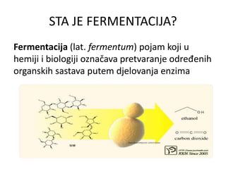 Fermentacija | PPT