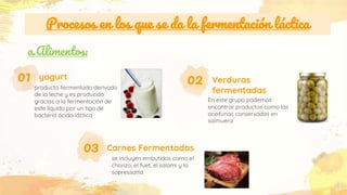 Fermentacin_Lactica.pptx