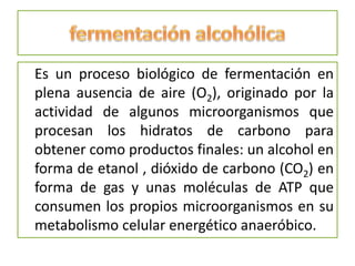 Fermentacion alcoholica de la chicha | PPTX