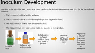 Fermentation Technology | PPTX