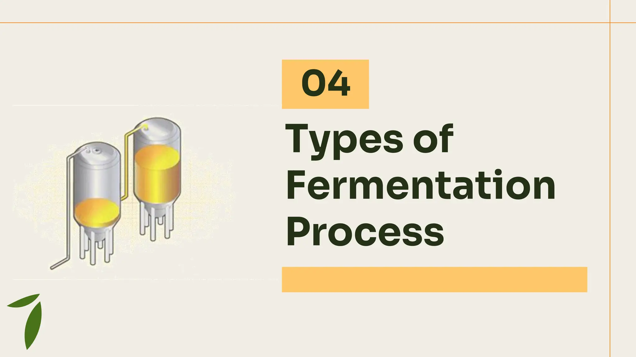 Fermentation Process – Types, Microorganisms, and Applications | PDF