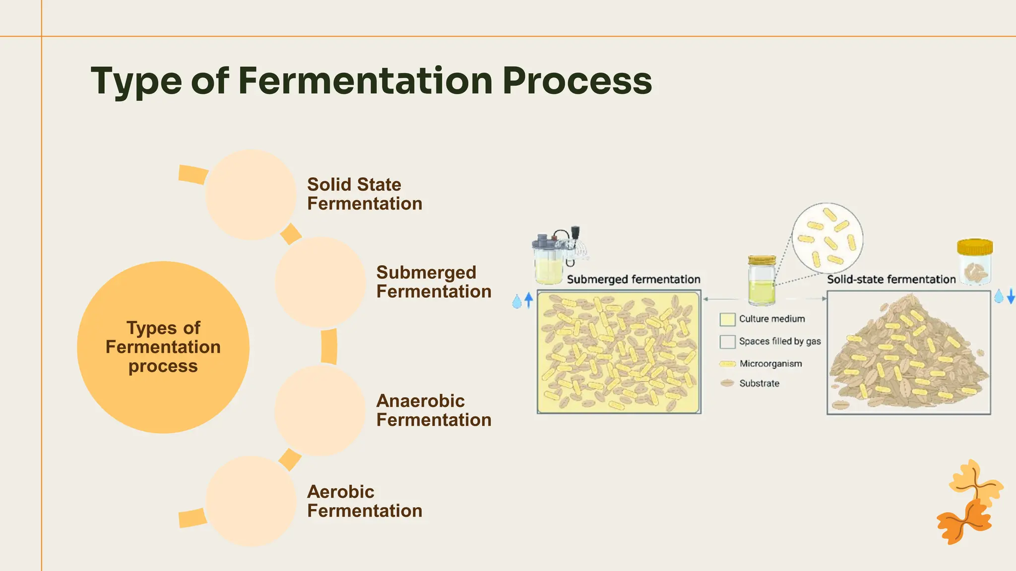 Fermentation Process – Types, Microorganisms, and Applications | PDF