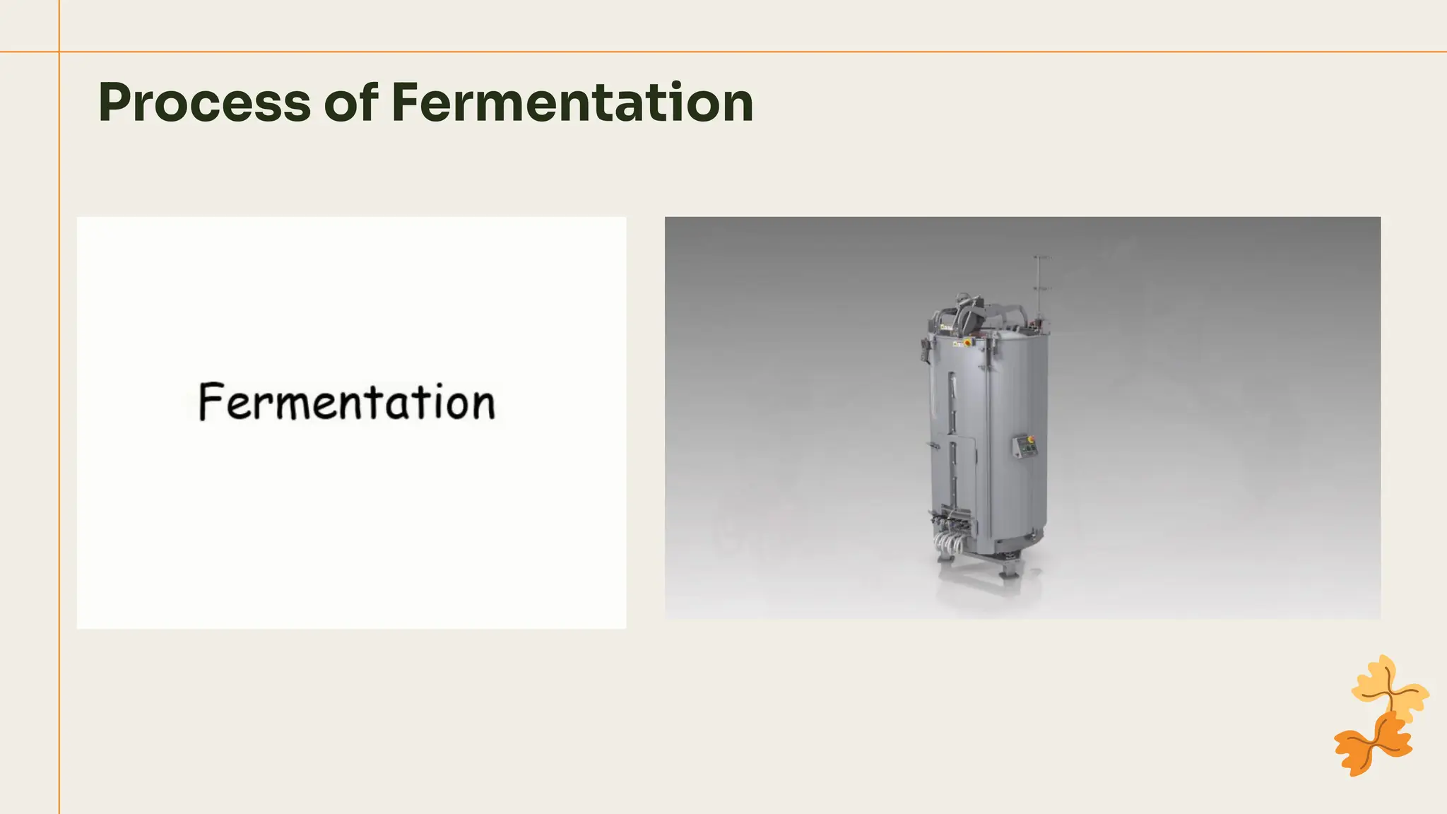 Fermentation Process – Types, Microorganisms, and Applications | PDF