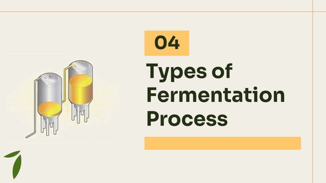 Fermentation Process – Types, Microorganisms, and Applications | PDF