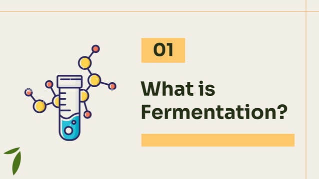 Fermentation Process – Types, Microorganisms, and Applications | PDF