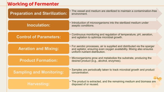 Fermentation Process – Types, Microorganisms, and Applications | PDF