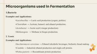 Fermentation Process – Types, Microorganisms, and Applications | PDF