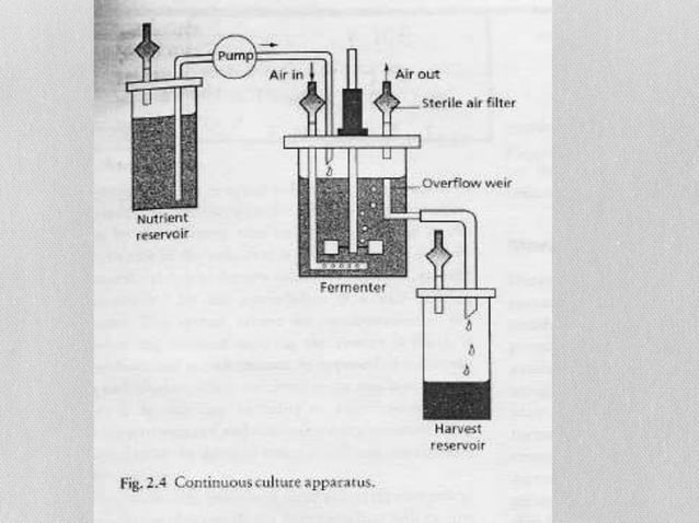 fermentasi pada mikrobiologi pangan biologi | PPTX