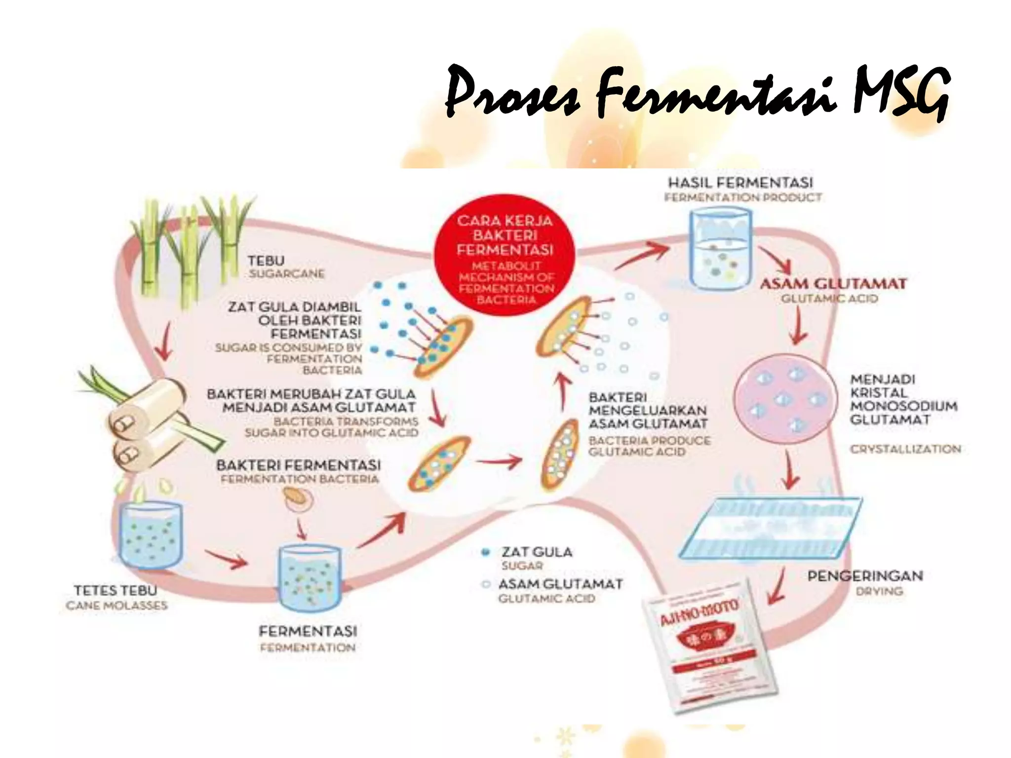 Fermentasi asam glutamat | PPTX