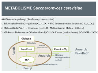 Teknologi Fermentasi pada Donat | PPTX